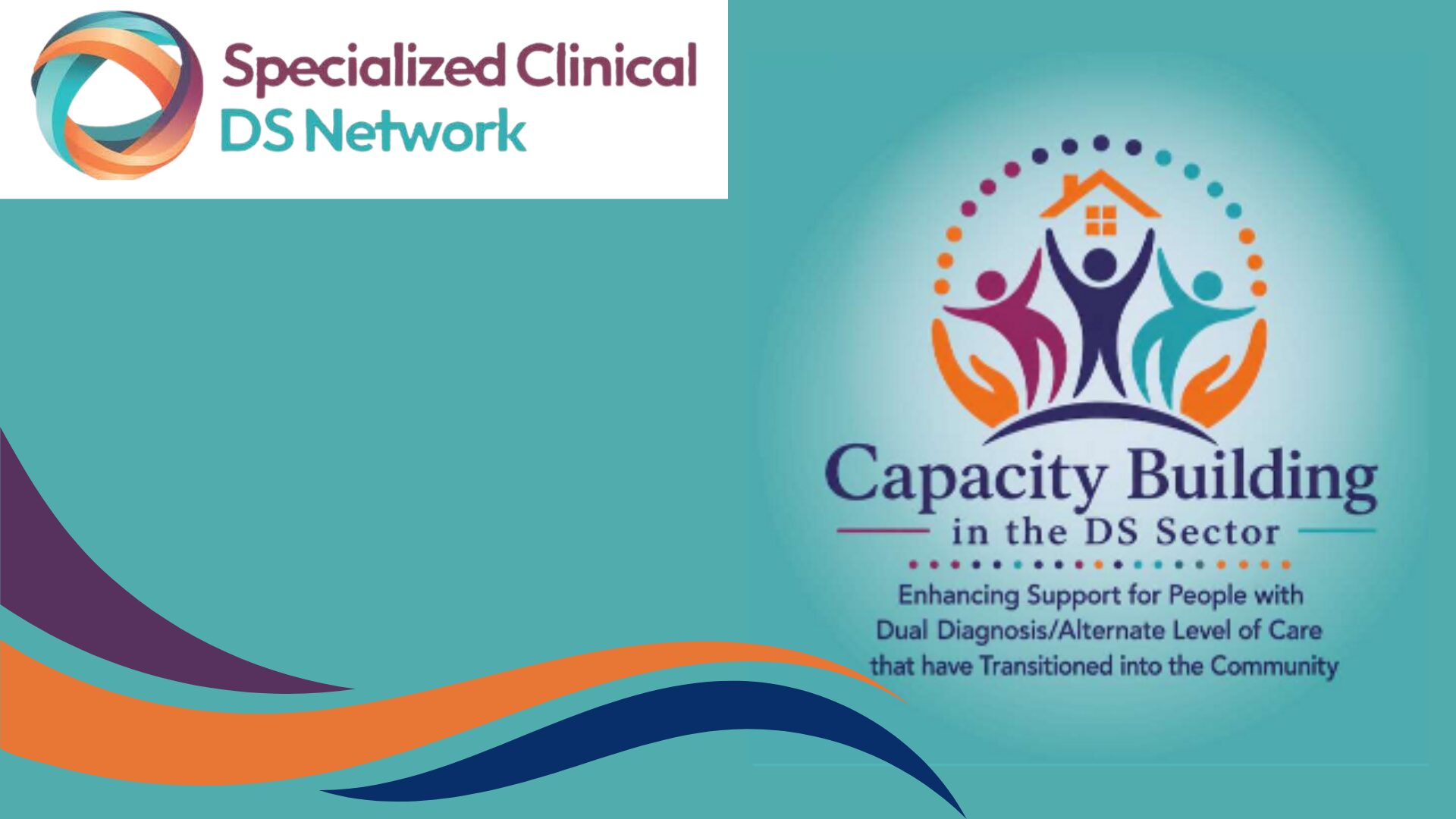 Capacity Building in the DS Sector - Enhancing Support for People with ...
